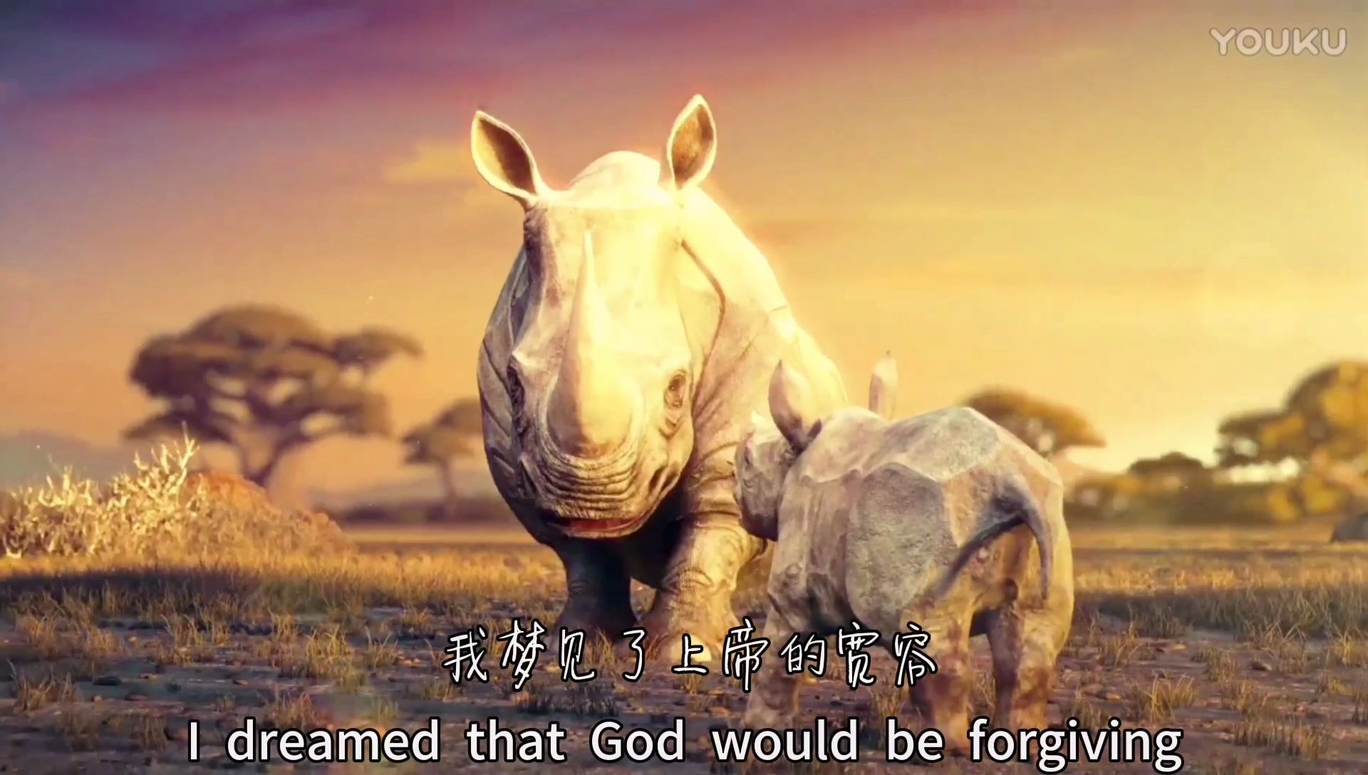 WCFF野生动物保护公益视频宣传片Dream,呼吁人们保护野生动物,...