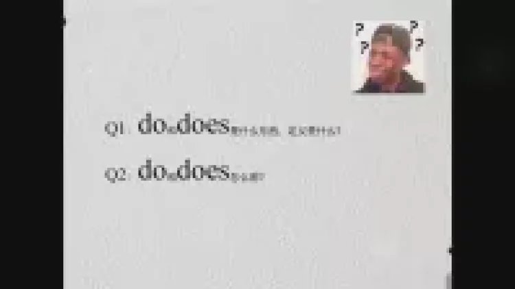 do和does在一般疑问句和否定句中用法