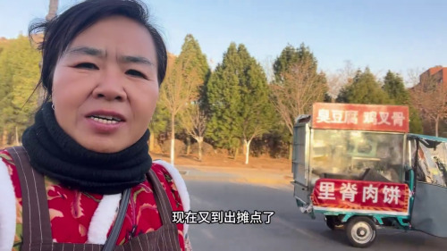 东北大姐流落他乡,街头摆摊赚生活费,摆摊人的大实话啊