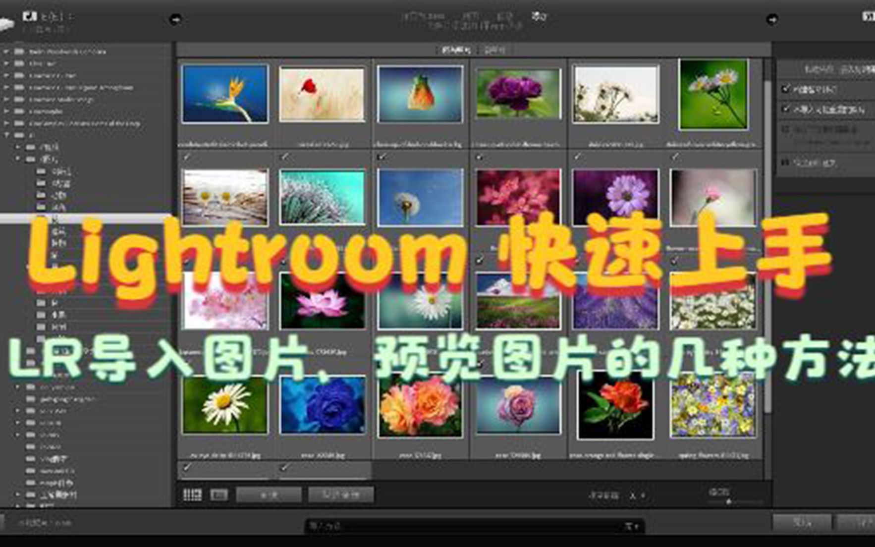Lightroom 快速上手,LR导入图片、预览图片的几种方法