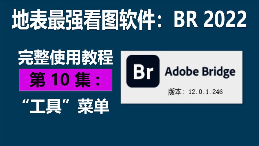 地表最强看图软件:BR2022完整教程第10集-“工具”菜单