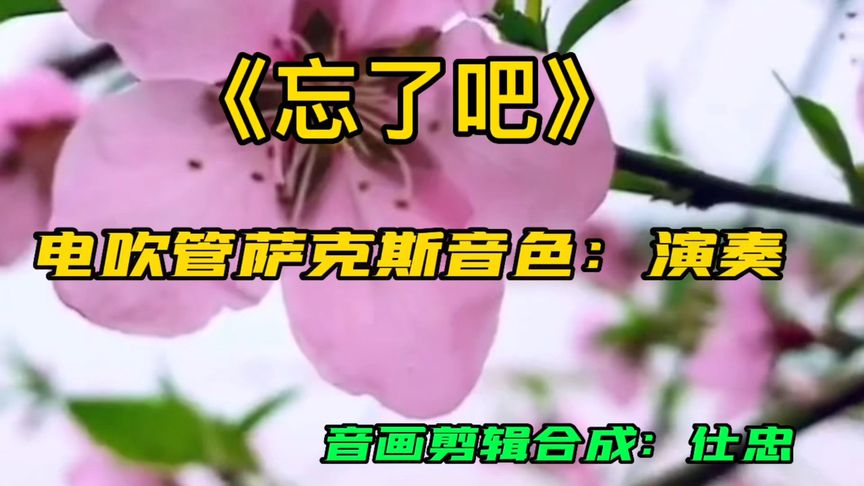 罗兰30电吹管萨克斯音色演奏:《忘了吧》与大家分享!