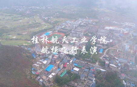 陈远滨《航模飞行表演》