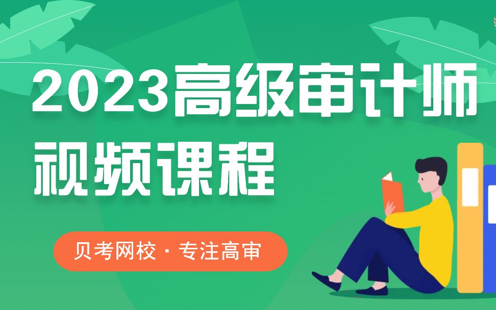2023年高级审计师网络视频课程