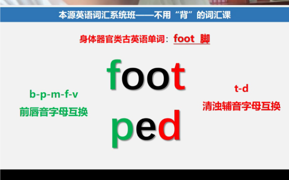 格林定律--不要再用词根词缀方法背单词了-词根ped-词源(格林法则)