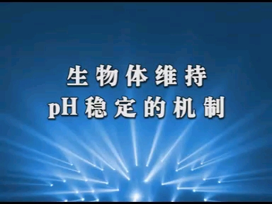 生物体维持pH稳定的机制-高中生物