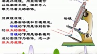 八年级 人教物理 显微镜和望远镜