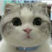 hrjlhy 