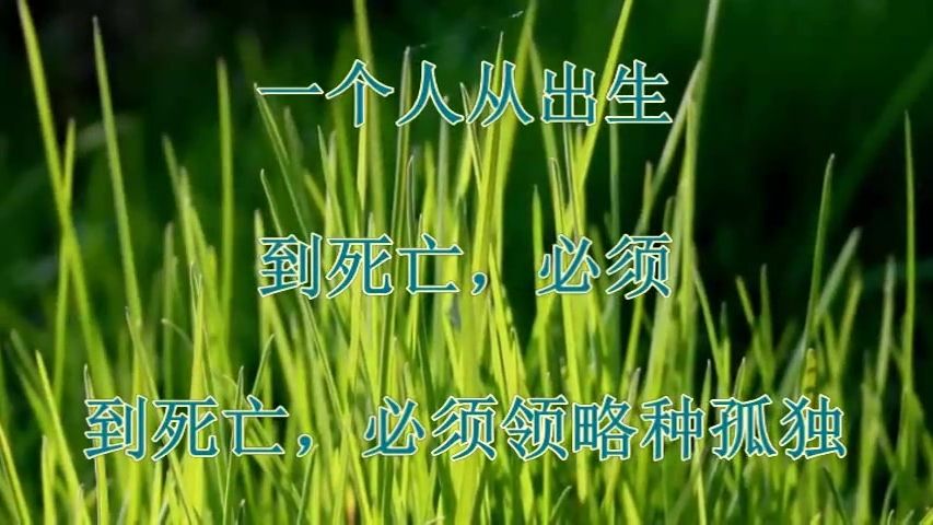 一个人从出生到死亡,必须领略种孤独