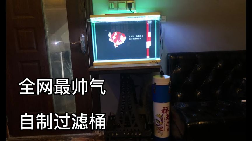 花钱几天,自己做了个过滤桶#养鱼日记 #养鱼人 #鱼缸过滤
