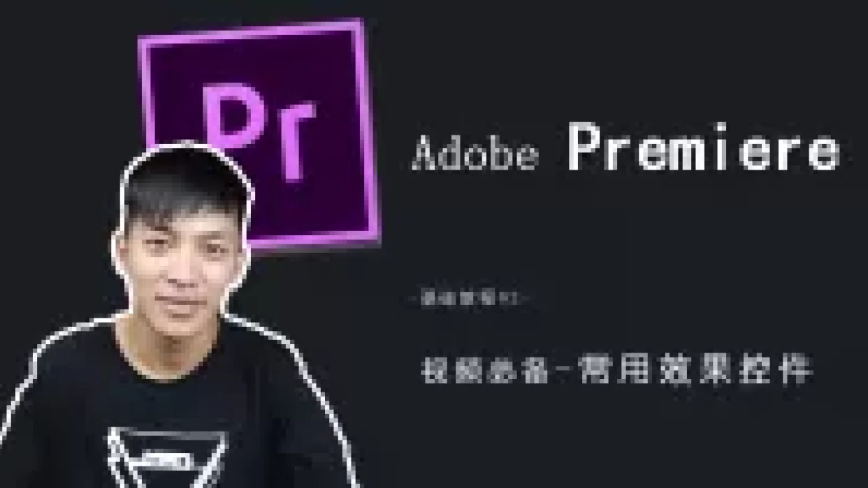 PR视频剪辑:日常剪辑使用最多的几款效果控件!