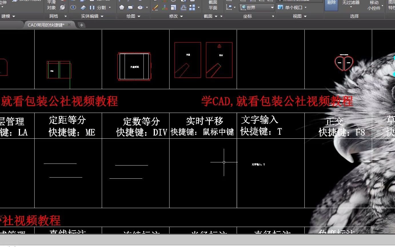 第四节,Auto CAD中定距等分和定数等分的快捷键和使用技巧你懂吗?...