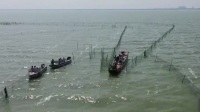 浙江新闻联播 2020 太湖迎来秋汛开捕 新鲜鱼虾量减价涨 10月1日 太湖...