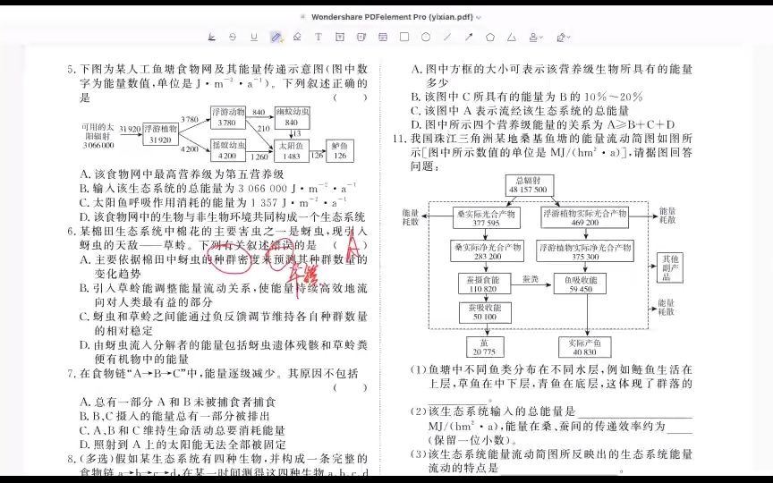 钉钉网课 3.2生态系统的能量流动 一线精练 习题讲解新高考网课备份