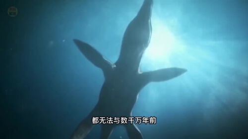 远古时期,地球上曾经存在过的10种巨大海洋生物