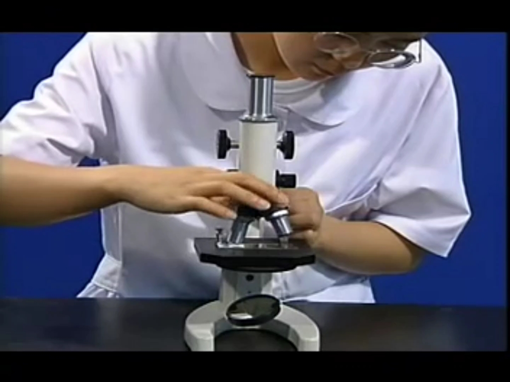 高中生物实验七—显微镜的构造及使用