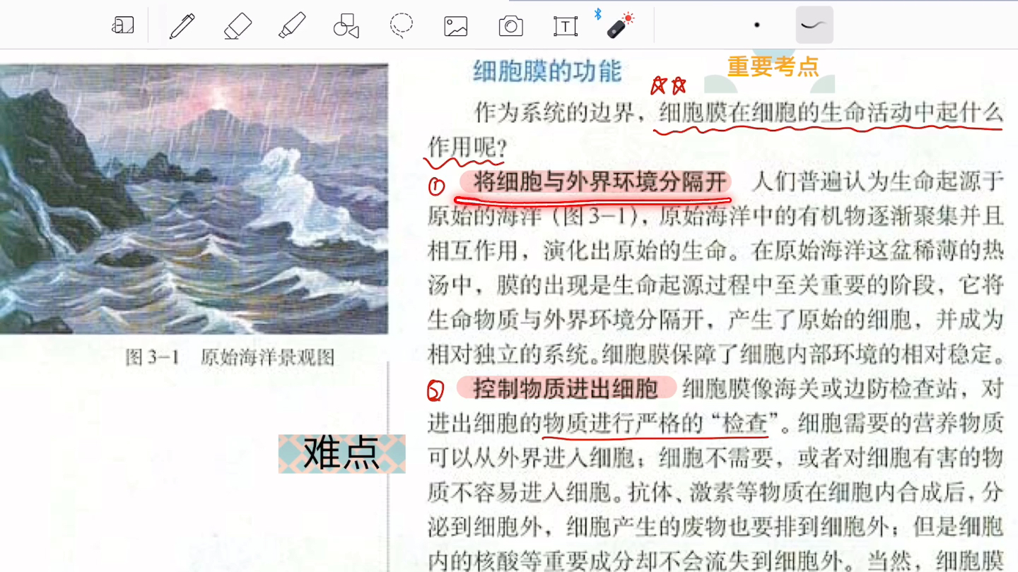 高中生物 必修一 课本考点解读 细胞膜 高三复习 高一预习