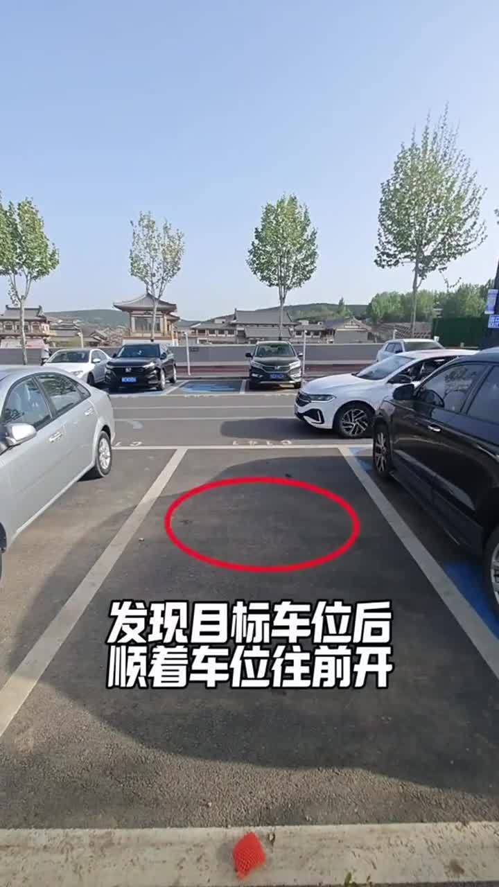 现实版左倒库技巧,老司机全程一把入库