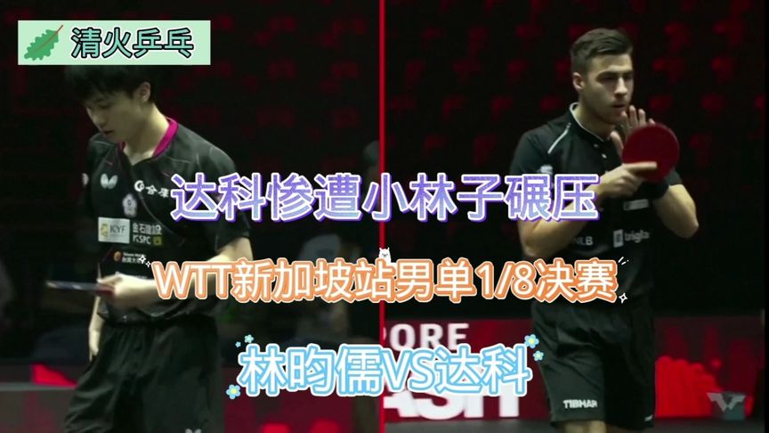WTT新加坡男单1/8决赛林昀儒3:0横扫达科,小林子碾压全场