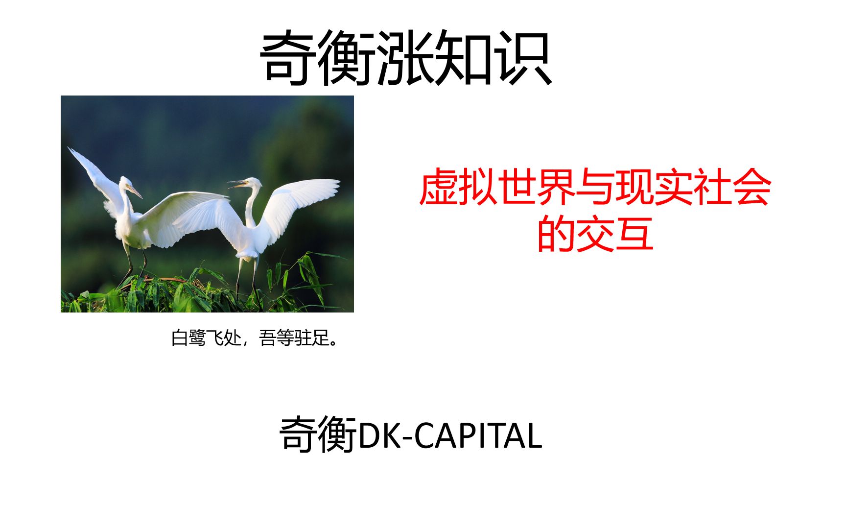 174 虚拟世界与现实世界的交互