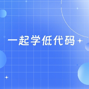 低代码修炼手册 