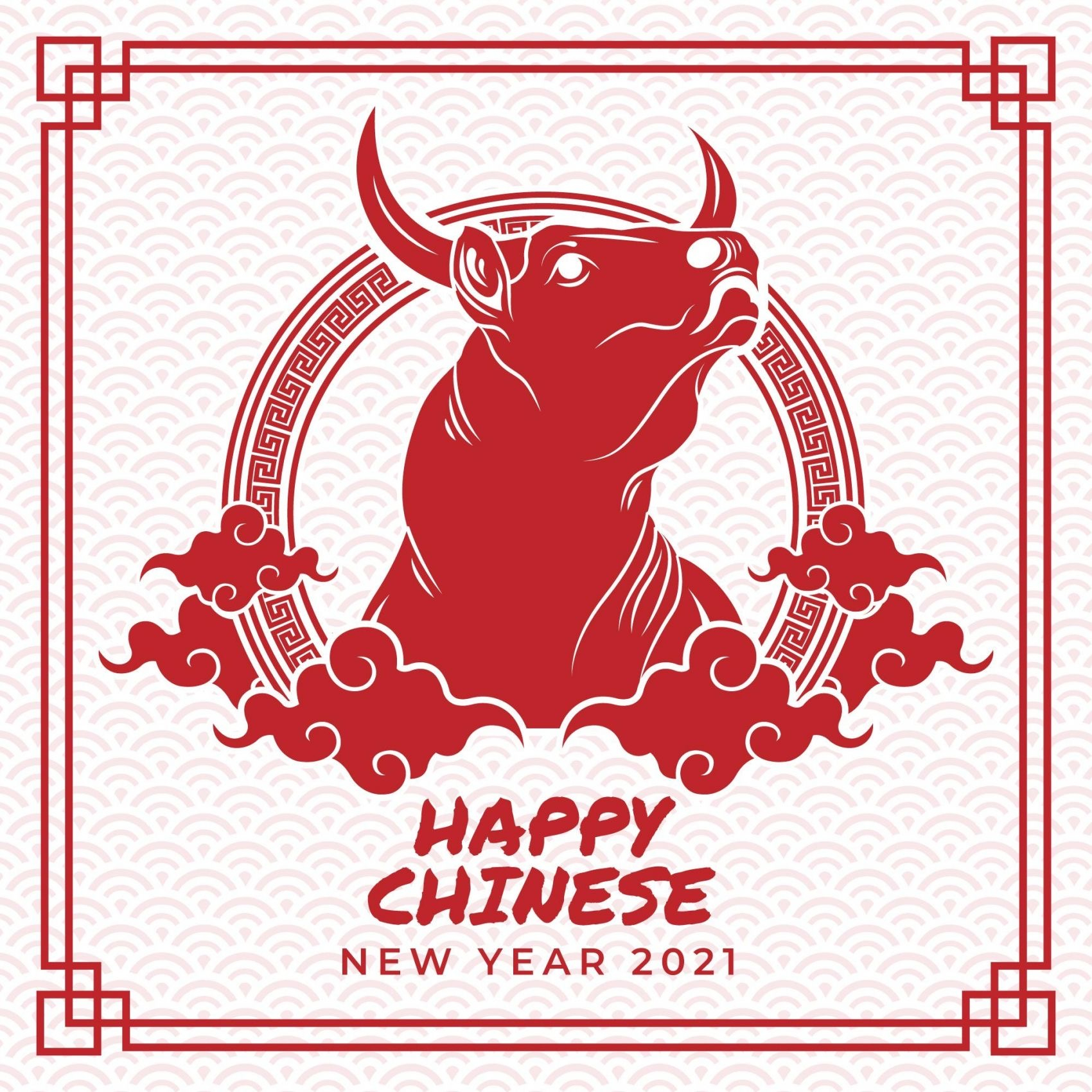 一个只有干货的号 