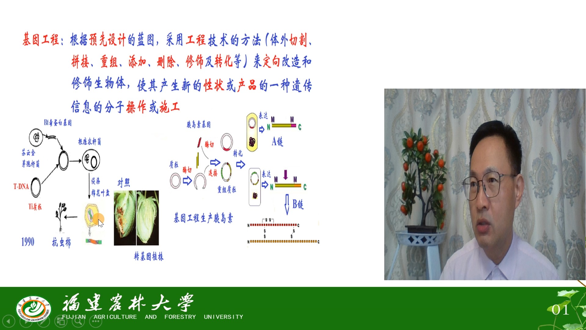 园艺植物基因工程-重组DNA技术-植物DNA提取