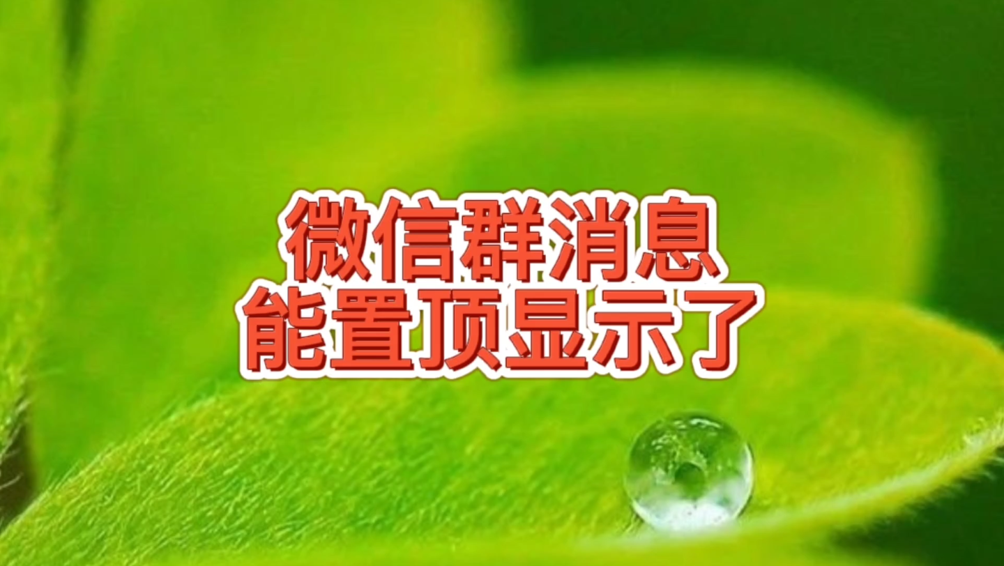 微信群消息可以置顶显示了,新功能不错过群主或老板发的重要内容