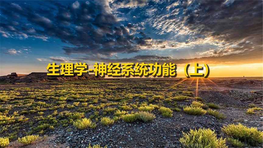 生理学-神经系统功能(上)【转载】