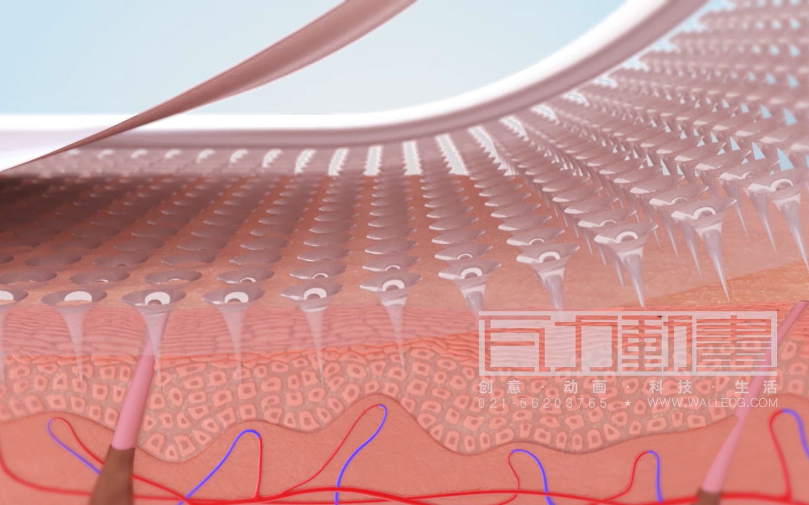 三维动画让我们可以看到如何用玻尿酸医疗针让你的皮肤饱满紧致