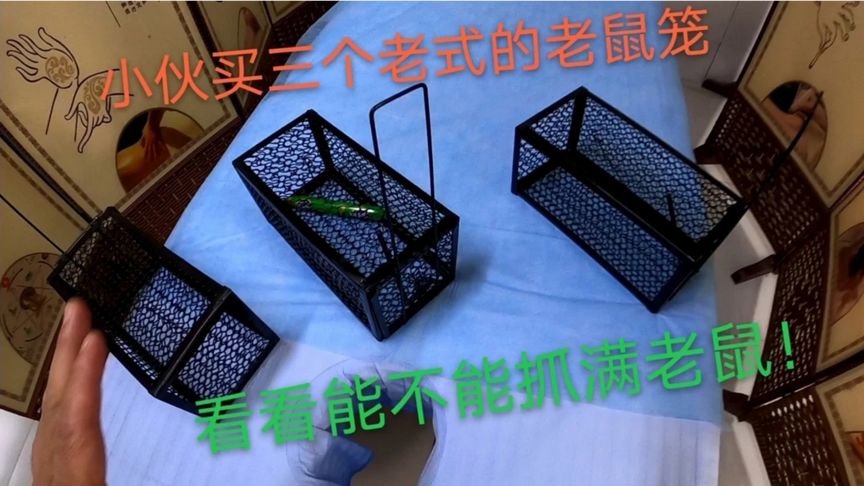 小伙买了三个老式老鼠笼,看看能不能把三个笼子全部抓满老鼠