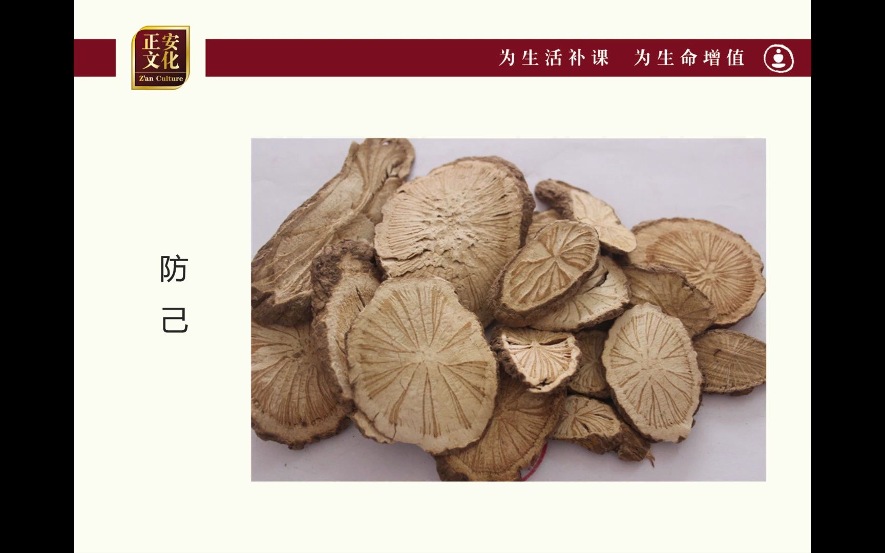 倪海厦老师弟子施合一经方药证学 第八章 祛湿药 07 防己