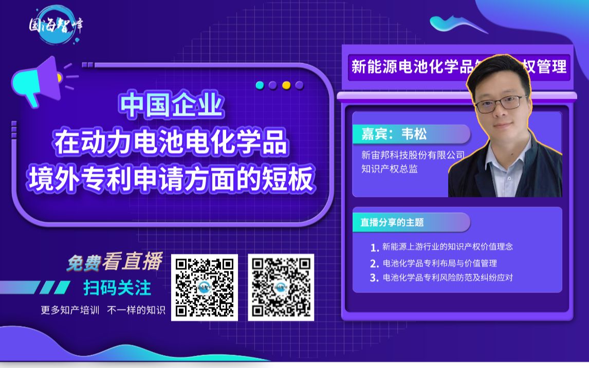 新能源汽车企业 IPR 专访系列第二期(七):中国企业在动力电池电化学品...