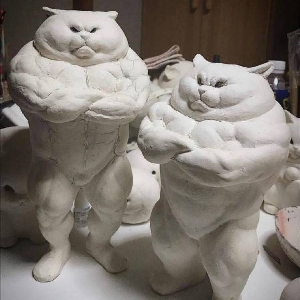 AMIGO讲公考 