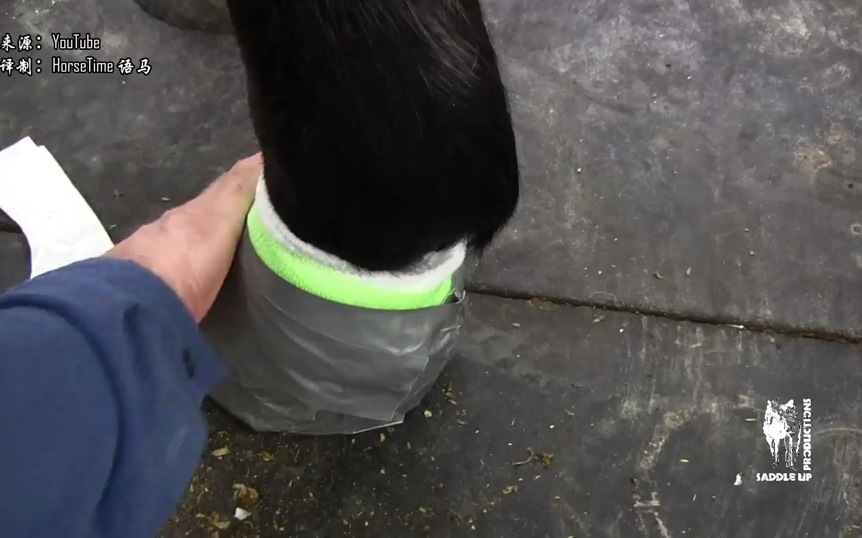 马蹄绷带这样绑,美观又持久