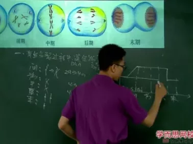 (1)细胞增殖与分化有丝分裂(二)细胞周期、动植物区别及实验知识点
