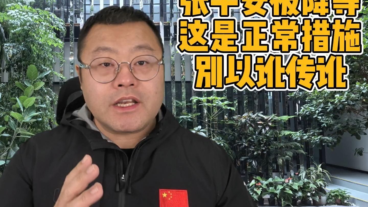 别瞎猜华为张平安处分,跟大模型和芯片没关系