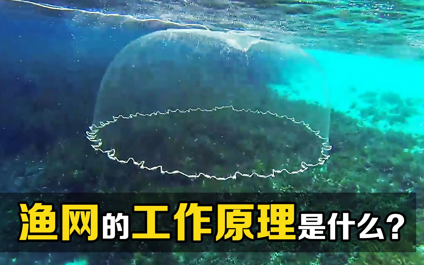 渔网的工作原理是什么?下面明明是空的,为什么还能捕上来鱼?