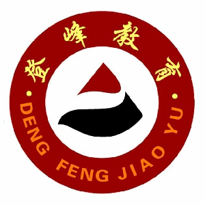 登峰招考直通车 