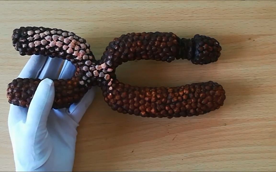 如何制作一个染色体模型