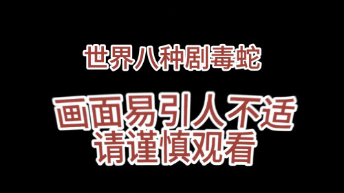 世界上最毒八大毒蛇!眼镜王蛇还不是最毒的,你都知道哪些?