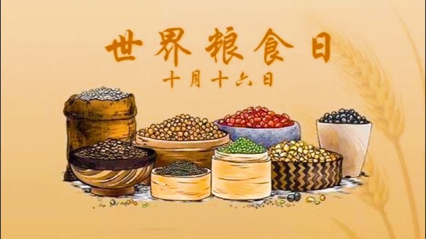 拒绝浪费从我做起,世界粮食日你知道它的成立原因吗?