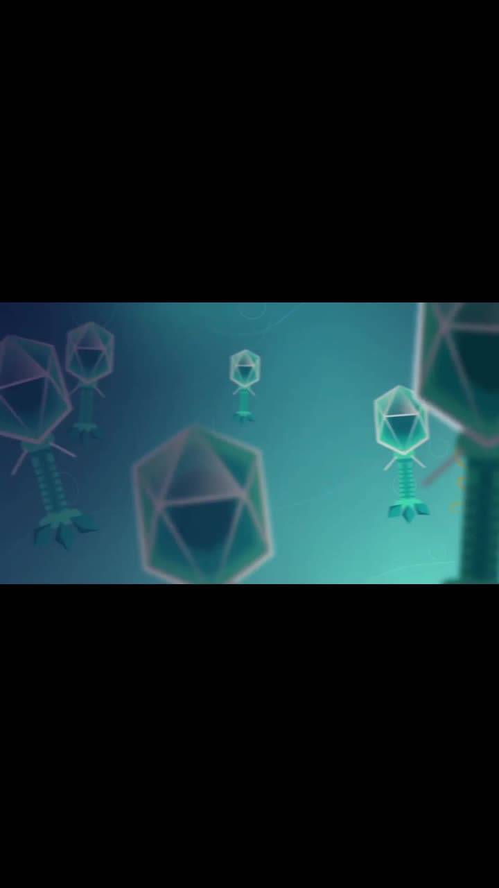 噬菌体侵染大肠杆菌的实验 #生物 #赫尔希和蔡斯