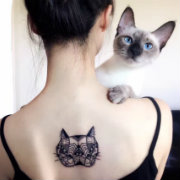 溪园303的猫 