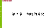 高一生物必修一细胞的分化1