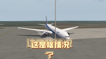 什么情况?_模拟飞行