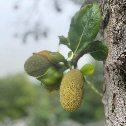 中药抗炎结构药理学组 