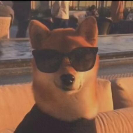 小章鱼的闲暇时刻 