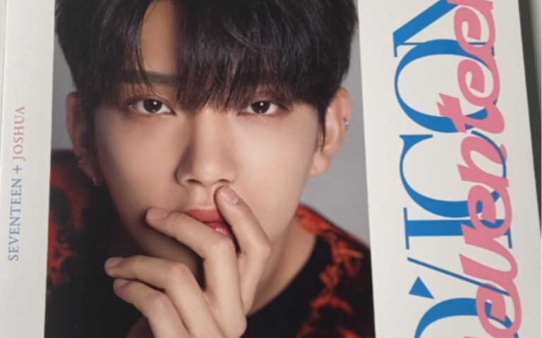 沉浸式拆专|助眠拆专第17弹 d社卡册/seventeen的100+张小卡开箱