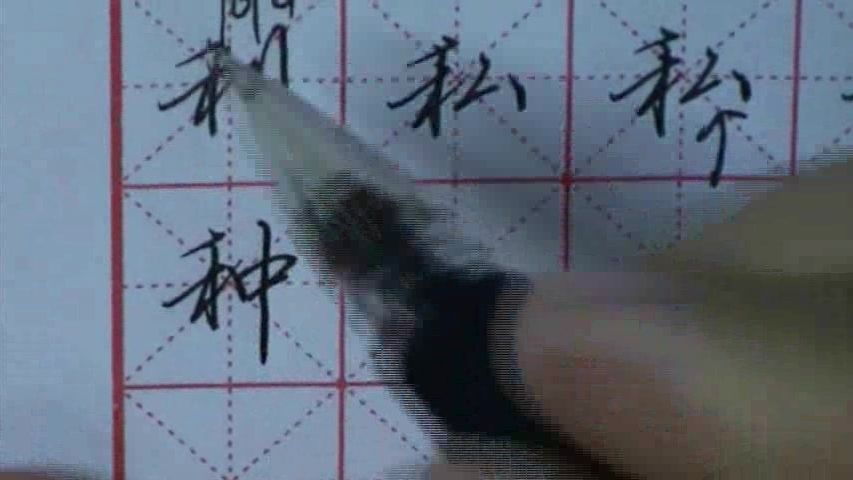 硬笔书法教学视频第二十集01